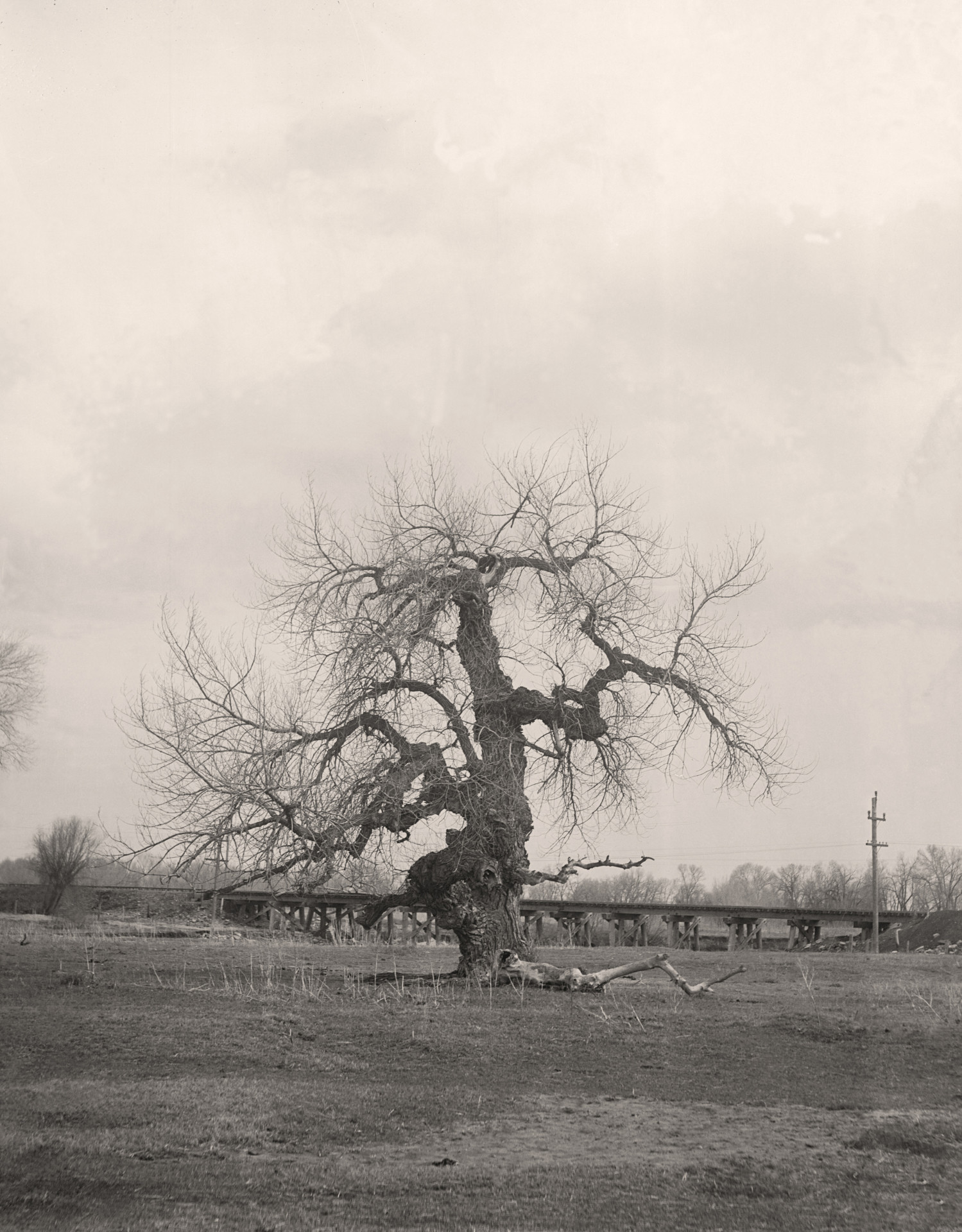 Land Acknowledgment - IWAC Conference